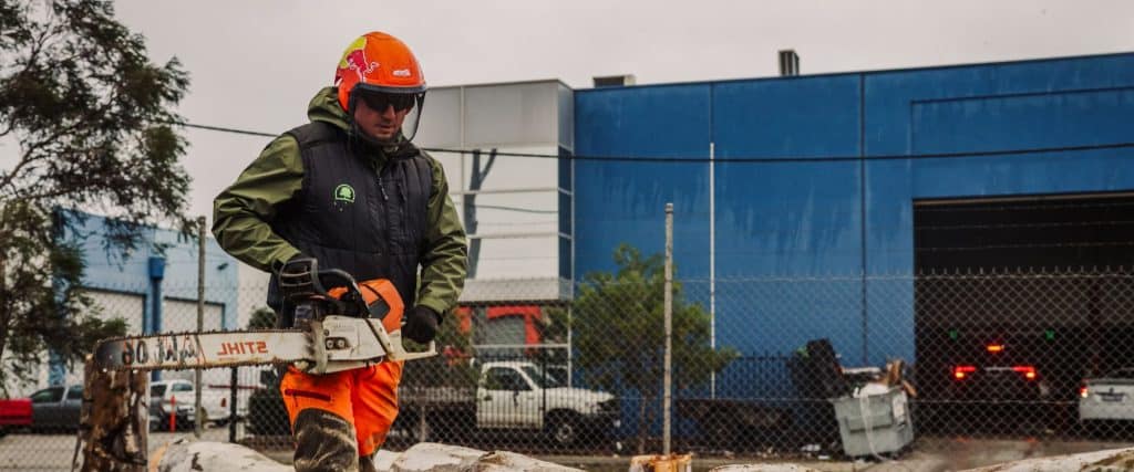 Tree Services Melbourne, VIC - Affordable Tree Services Near Me